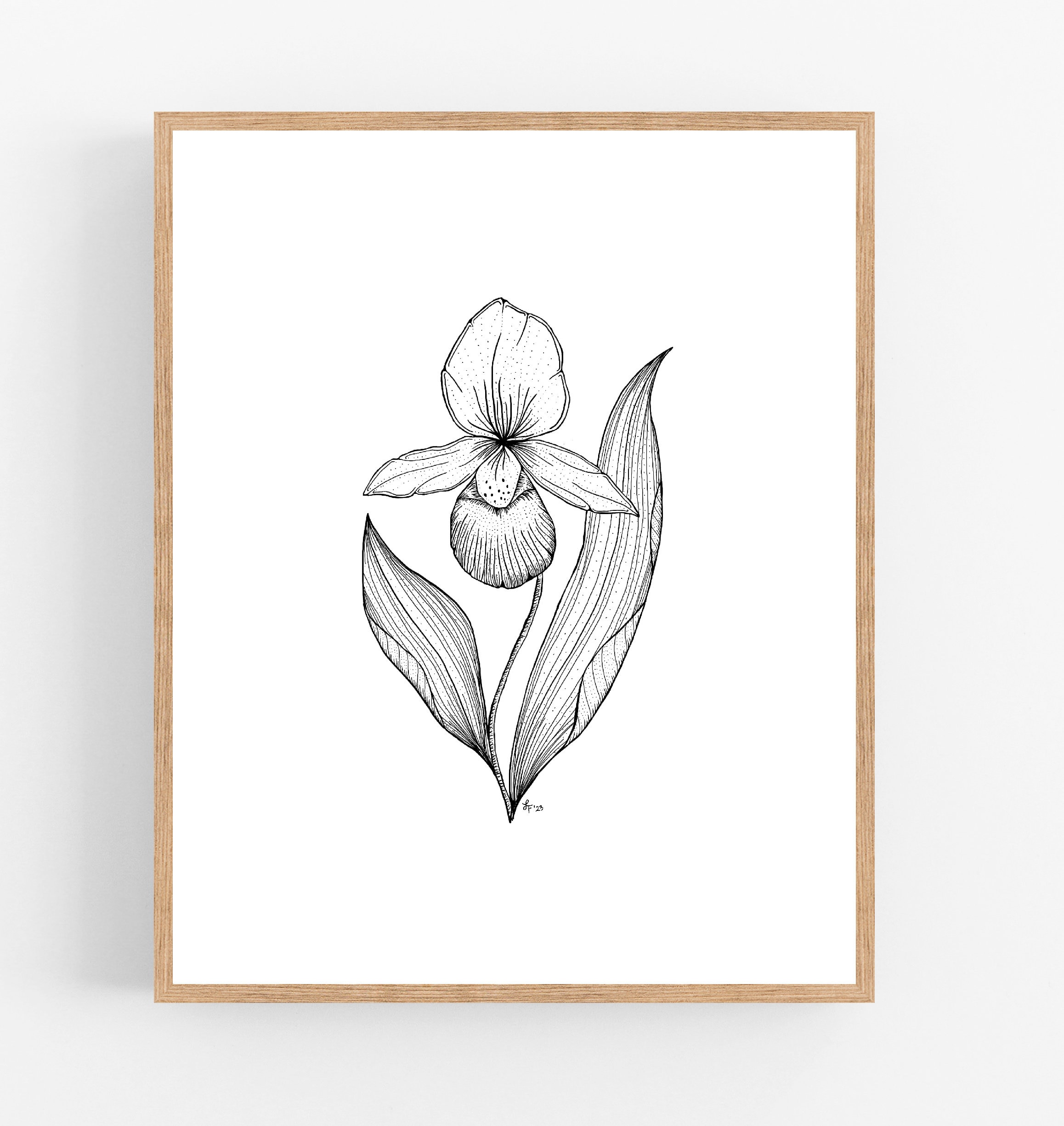 Lady Slipper Orchid Drawing Tattoo Pinky The Pink Lady Slipper Faerie