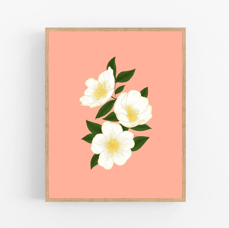 Cherokee Rose Illustration / Printable / Art / Digital - Etsy