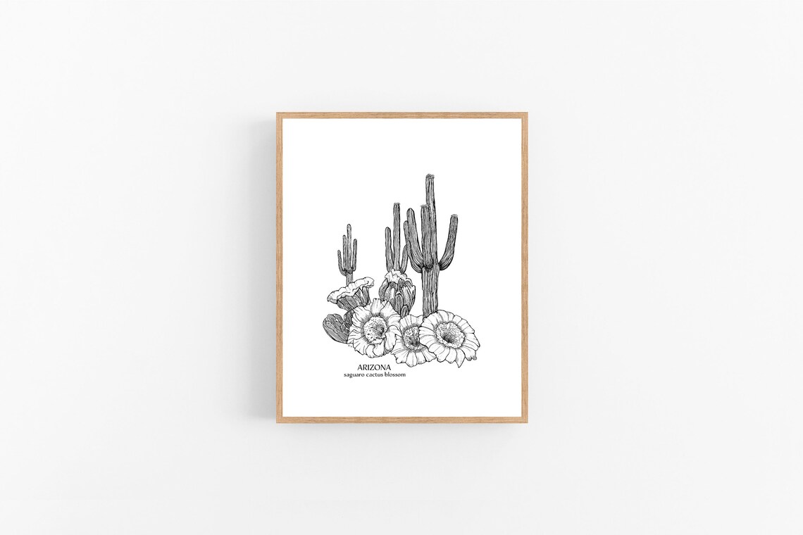 Arizona Saguaro Cactus Blossom Ink Sketch Print / Printable - Etsy