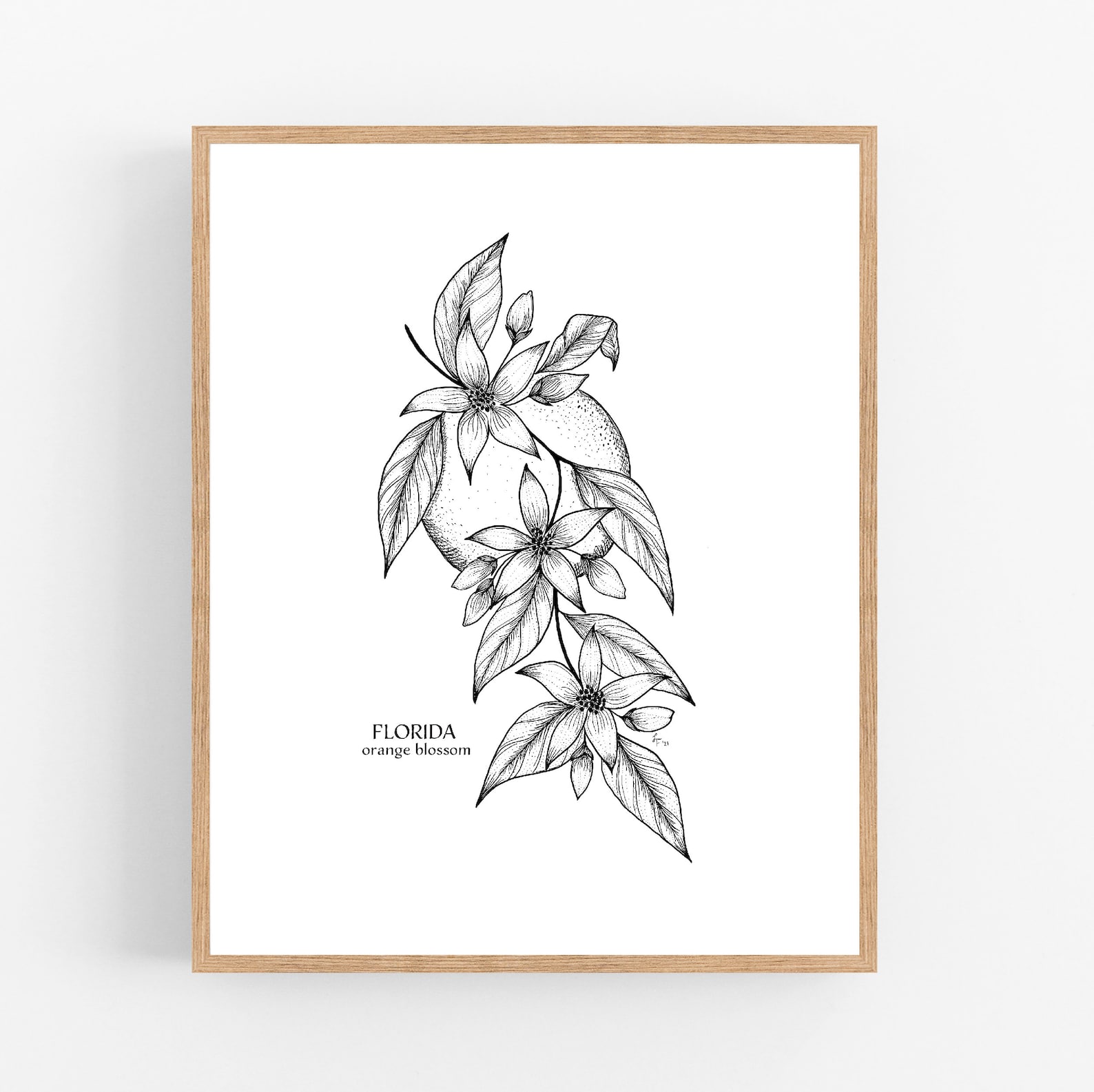 Florida Orange Blossom Ink Sketch Print / Printable / Art / Digital ...