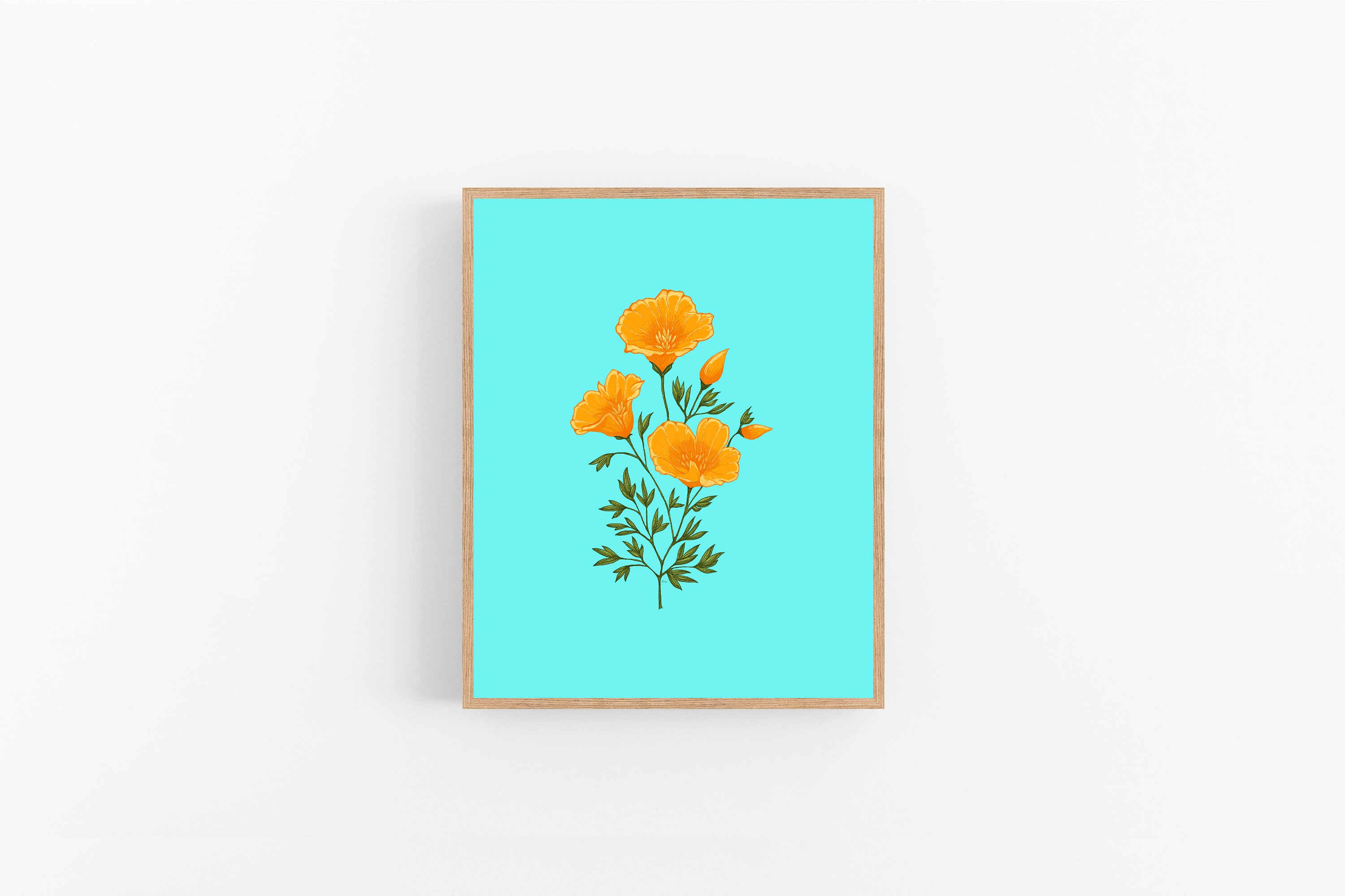 California Poppy Illustration / Printable / Art / Digital Download ...