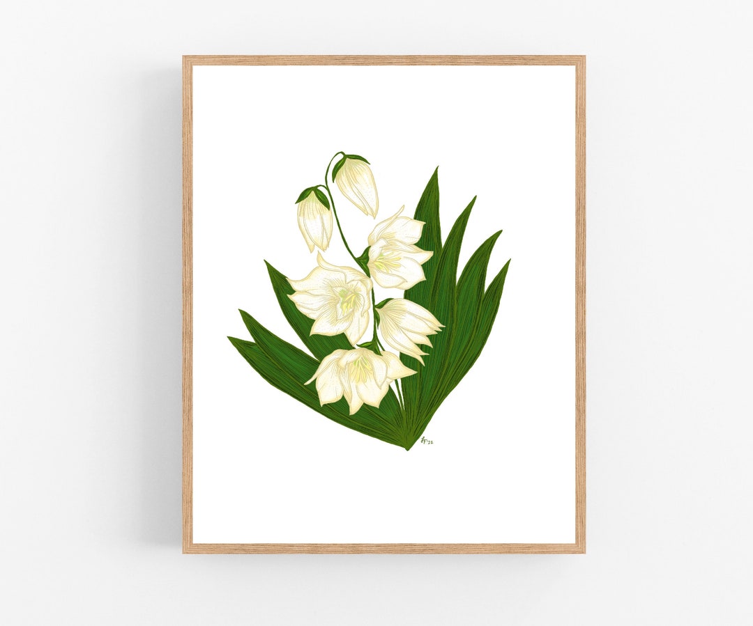Yucca Color Illustration Print / Printable / Art / Digital Download ...