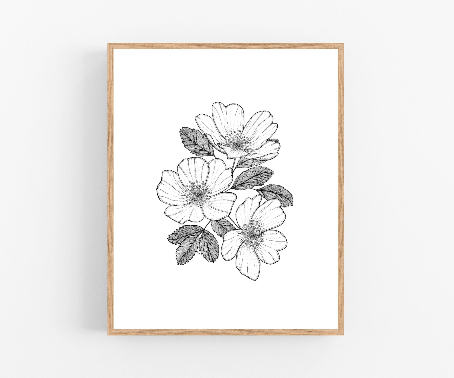 Wild Prairie Rose Black Ink Illustration Digital Download / North ...