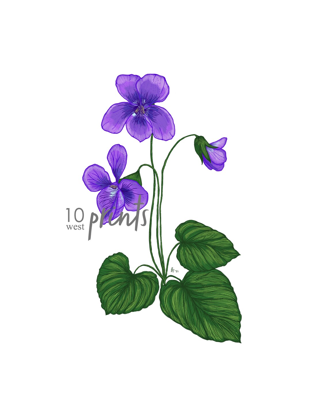 Violet Illustration / Printable / Art / Digital Download / | Etsy