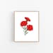 Scarlet Carnation Illustration Print / Printable / Art / Digital ...