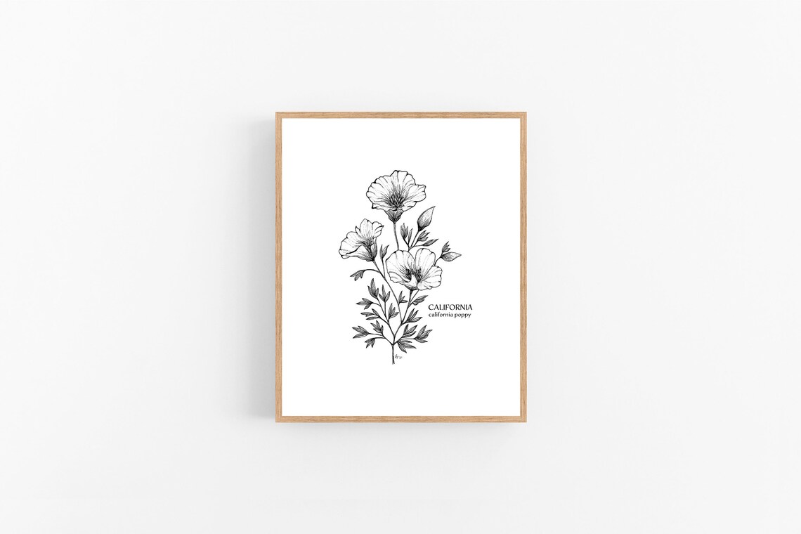 California Poppy Ink Sketch Print / Printable / Art / Digital Download ...