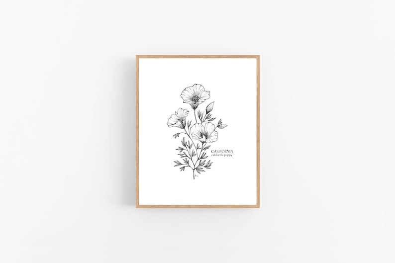 California Poppy Ink Sketch Print / Printable / Art / Digital Download ...