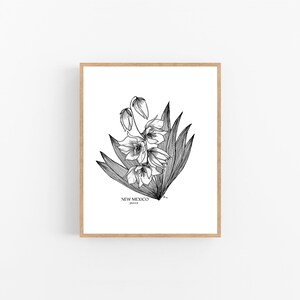 New Mexico Yucca Black Ink Illustration / Yucca Print Drawing ...