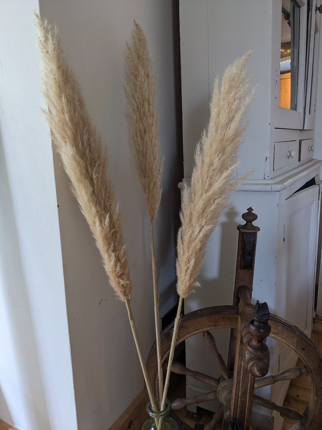 Pampas Grass, 3 Stems - Etsy
