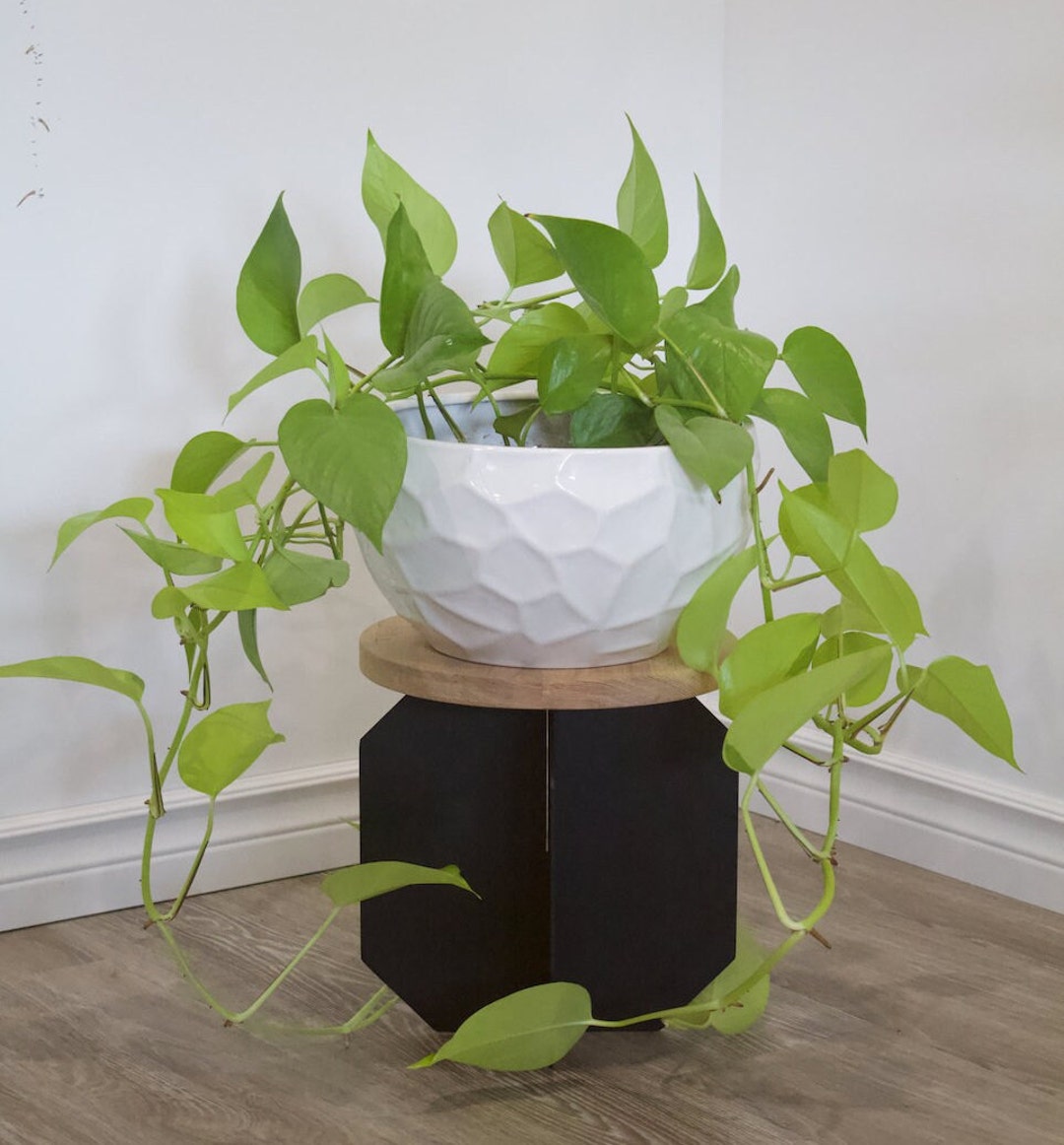 Abstract Plant Stand, Plant Base, Plant Holder With Solid Wood and With ...
