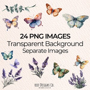 Butterfly Watercolor Png Clipart Bundle Flowers Clipart Decorative ...