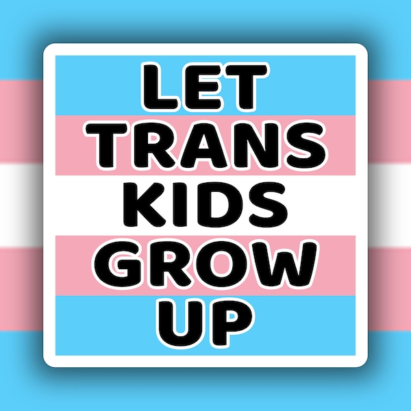 Trans Pride Bumper Magnet - Etsy