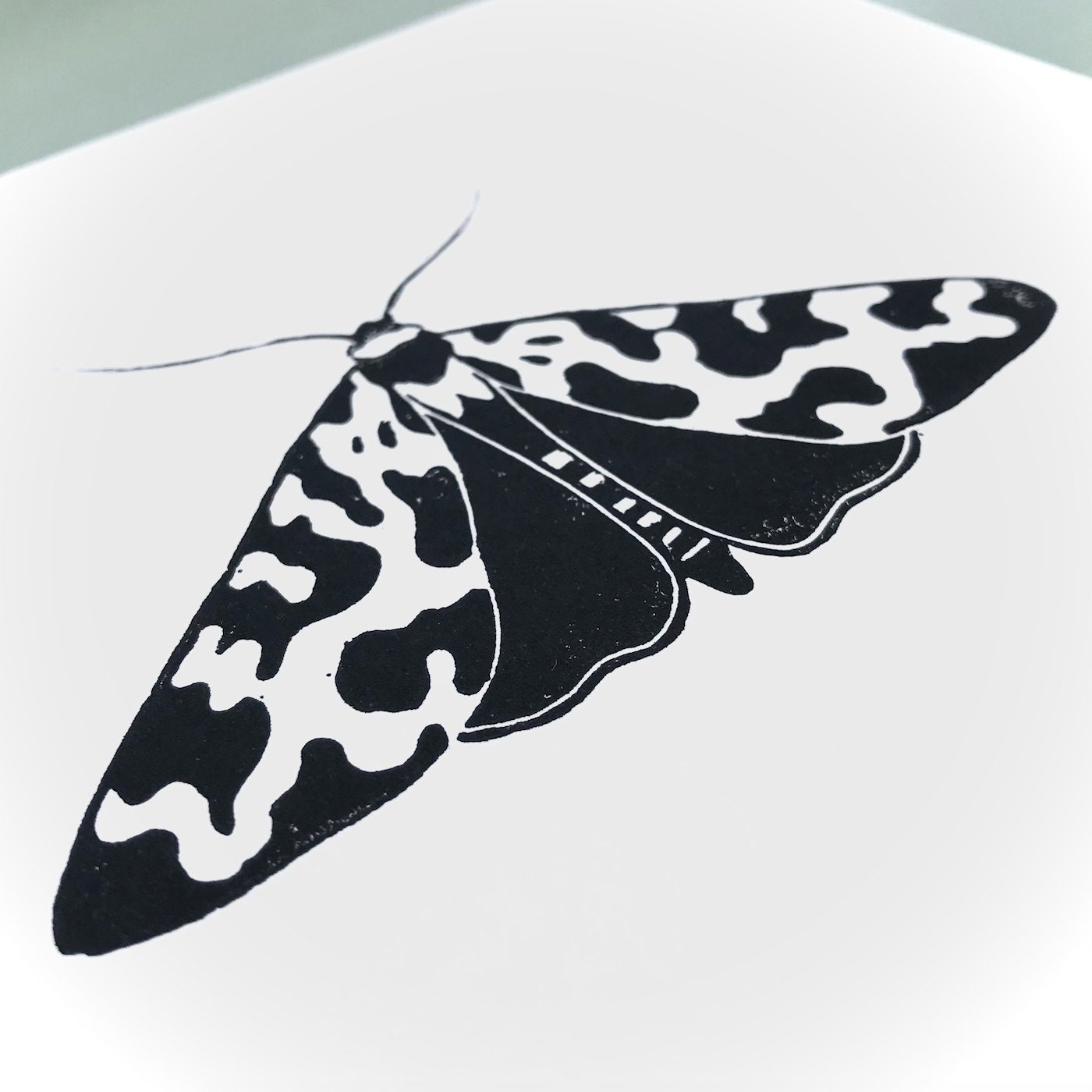 Cow Print Moth Original Lino Print in Black - Etsy