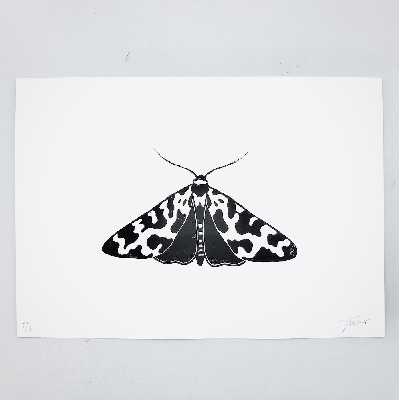 Cow Print Moth Original Lino Print in Black - Etsy