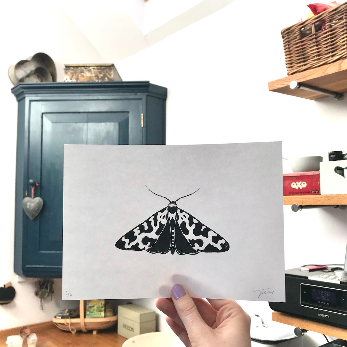 Cow Print Moth Original Lino Print in Black - Etsy