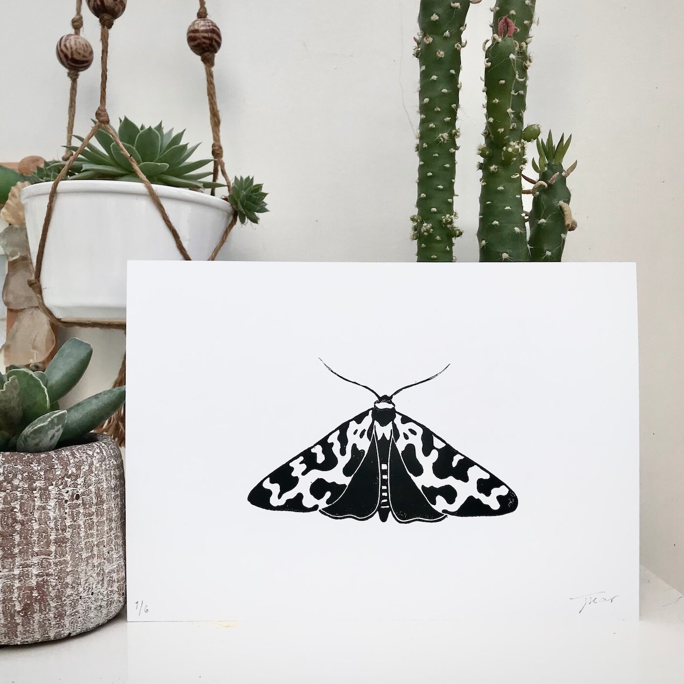 Cow Print Moth Original Lino Print in Black - Etsy