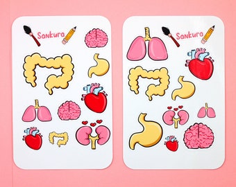Human Organ Sticker - Etsy
