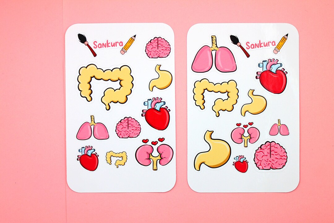 2 Sticker Sheets Human Body Organ, Biology, Nurse, Doctor Stickers for ...
