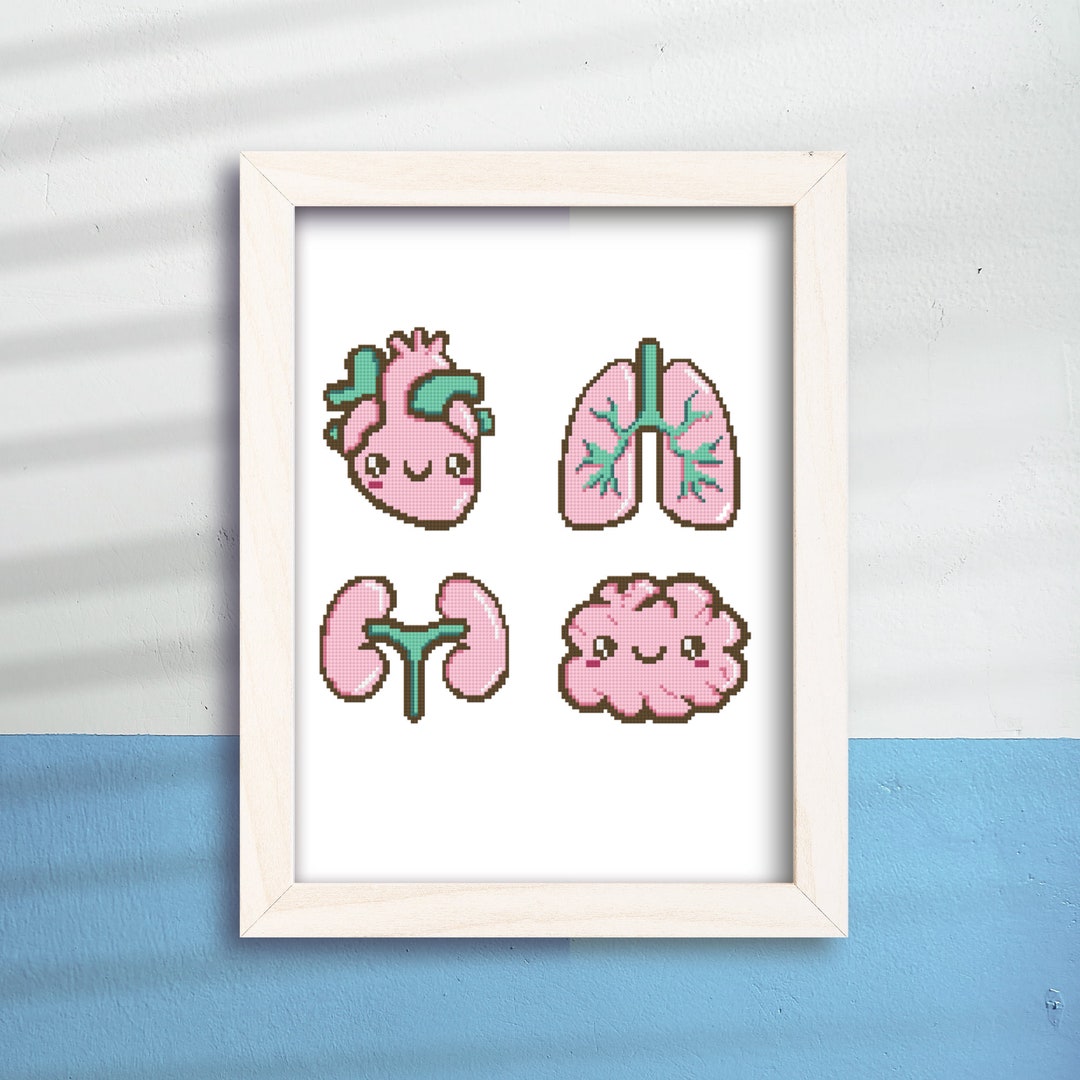 PDF Cross Stitch Embroidery Pattern - Kawaii Organs: Heart, Lungs ...