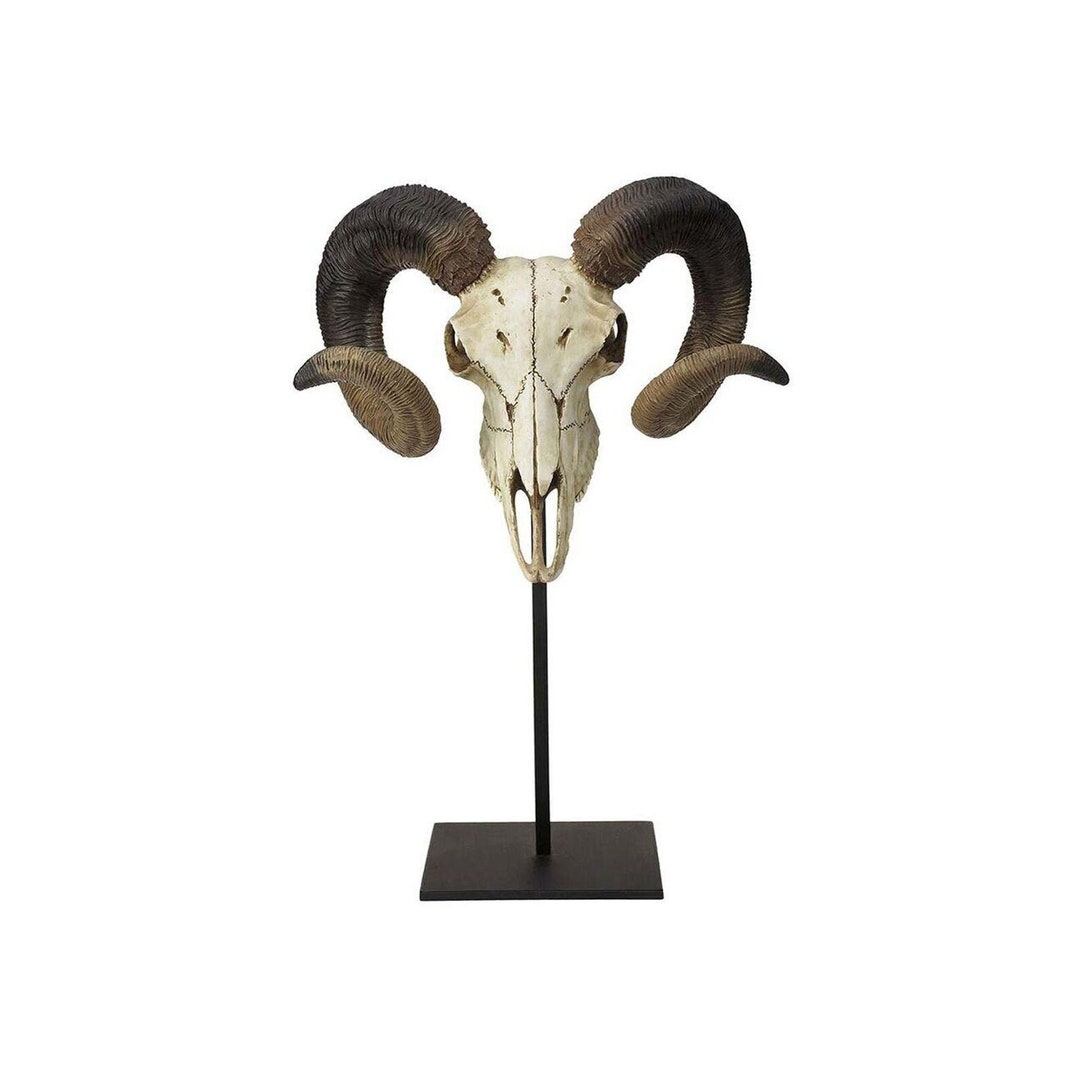 Large Horned Skull Wall Plaque, Skull Head Bust - Etsy