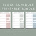 Block Schedule, Printable Planner Bundle. an Undated Daily Planner ...