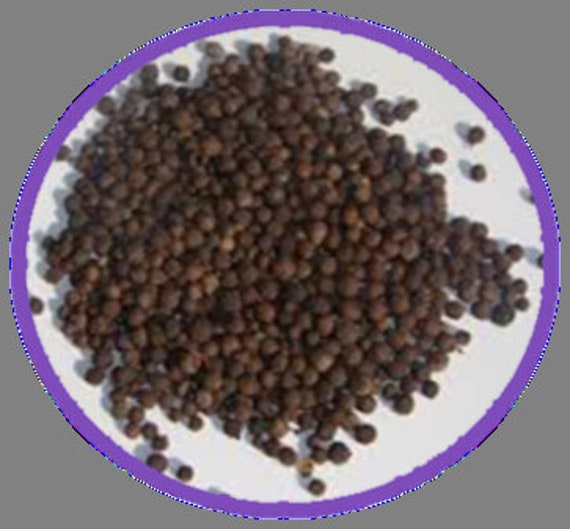 Jamaican Pimento Seeds Allspice 8 Oz Import Permit Needed | Etsy