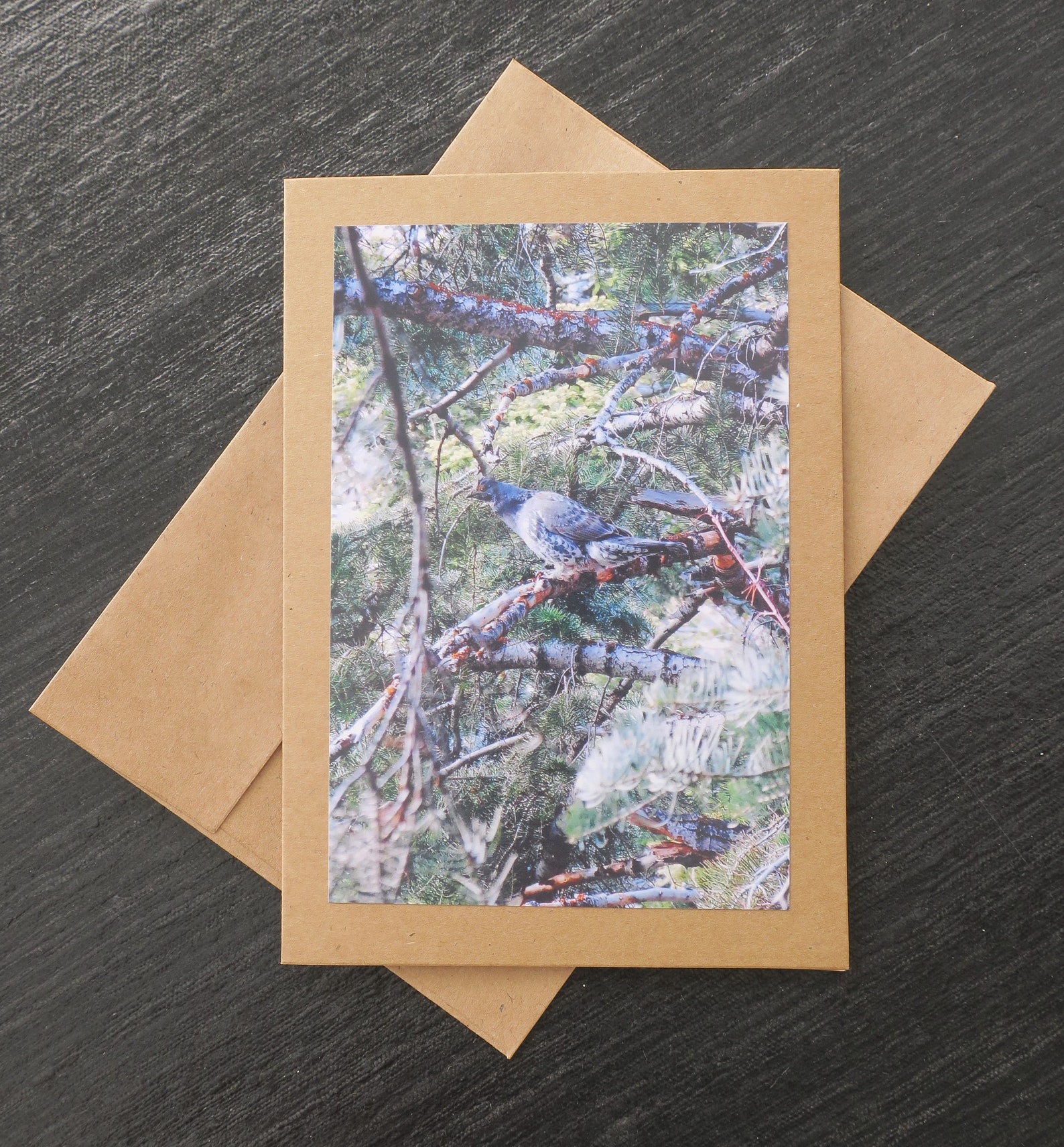 Handmade Nature Photo Blank Greeting Card/note Card Wildlife the Grouse ...