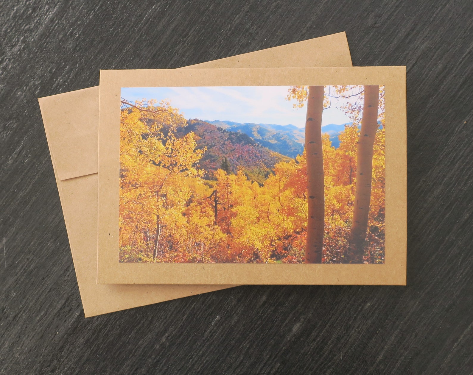 Handmade Nature Photo Blank Greeting Card/note Card Autumn Mill A Basin ...