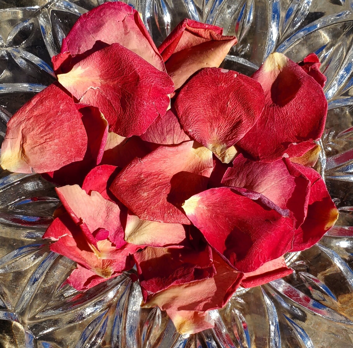 Organic Freeze Dried Rose Petals - Etsy