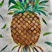 Pineapple - Collage Painting - Etsy