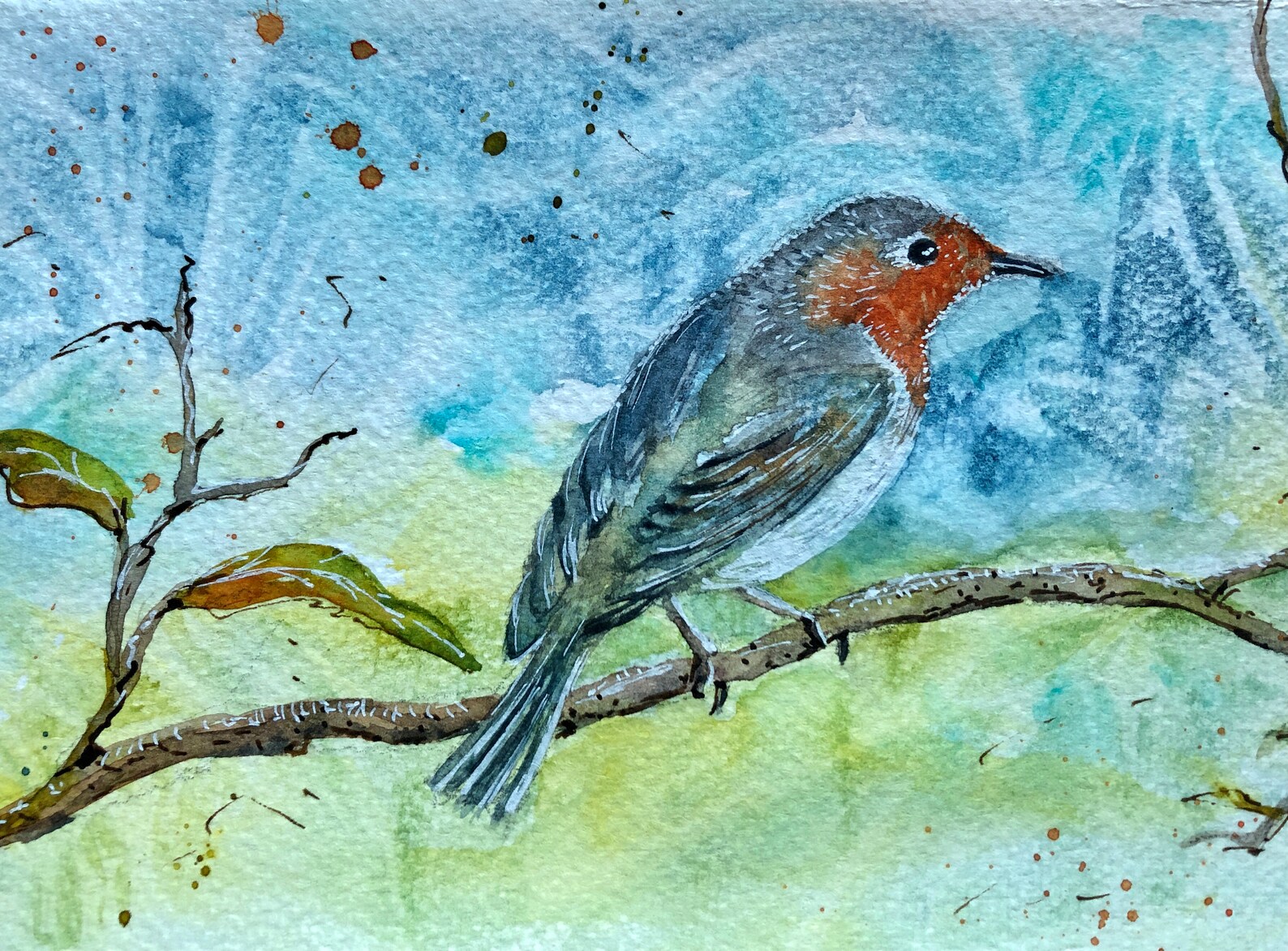 Robin on a Branch - Original Watercolor/ink Drawing - Etsy