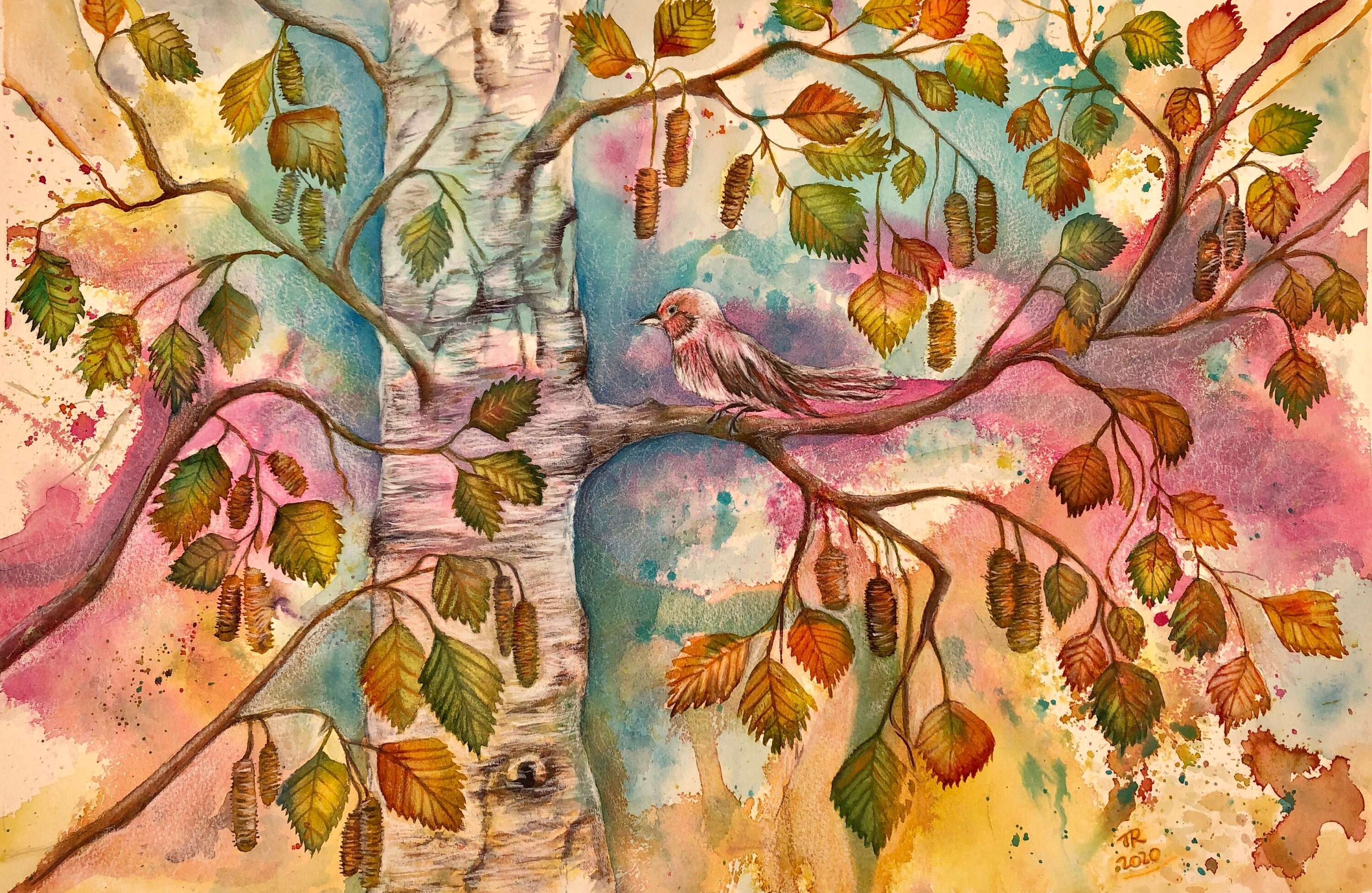 Bird in a Birch Tree - Original Painting - Etsy