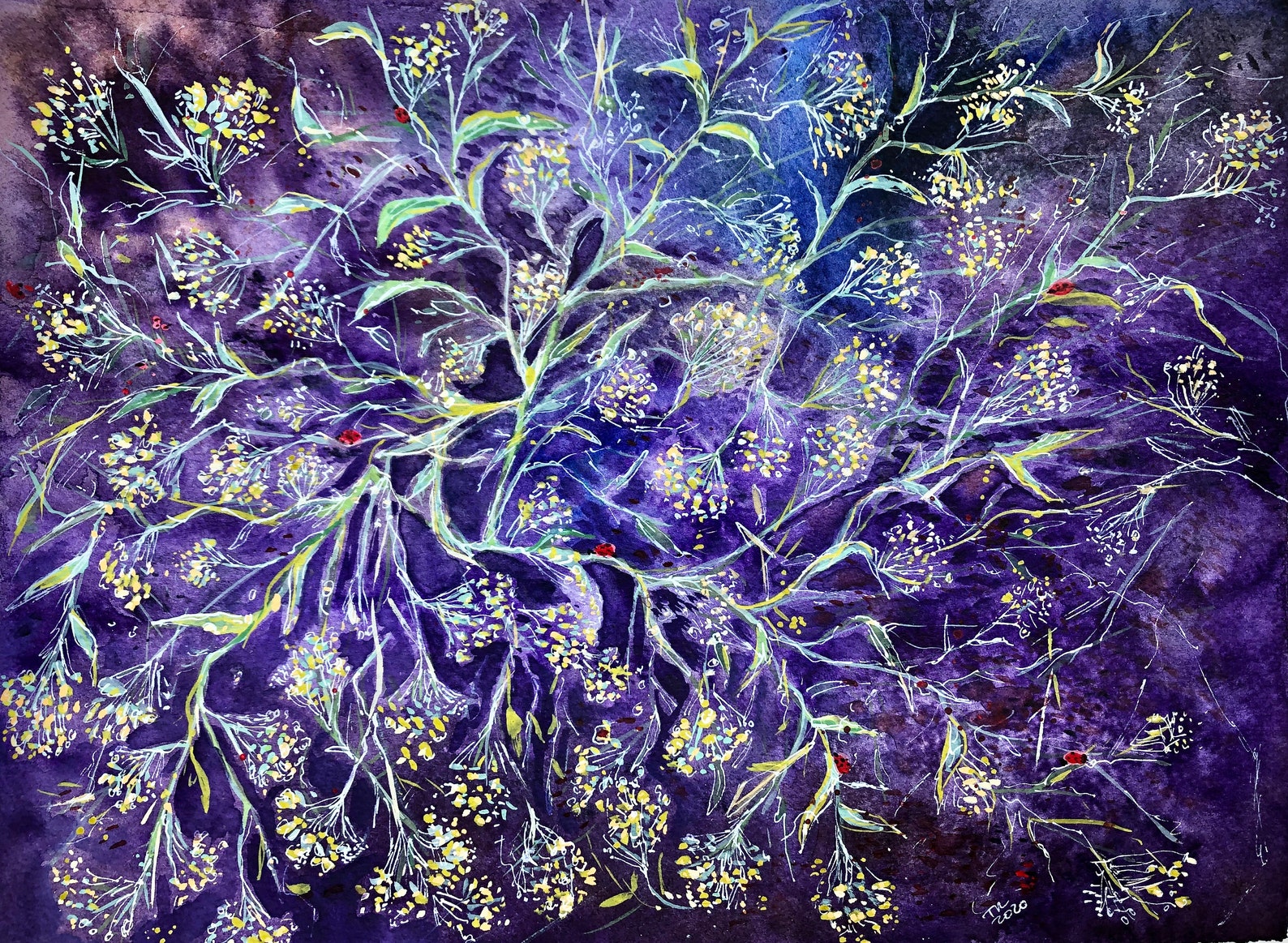 Fennel Branches - Original Watercolor and Gouache - Etsy