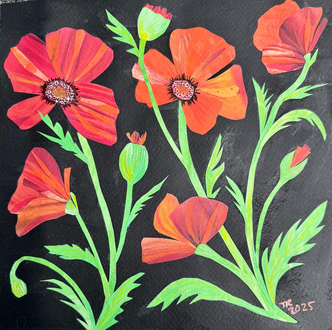 Poppies - Original Paper Collage - Etsy