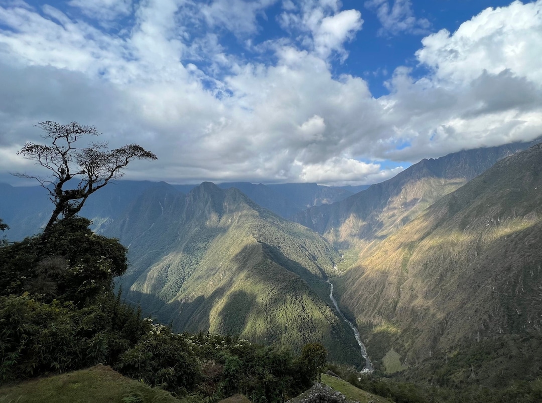 Inca Trail, the Tree of Intipata, 8x10 Matted Print - Etsy