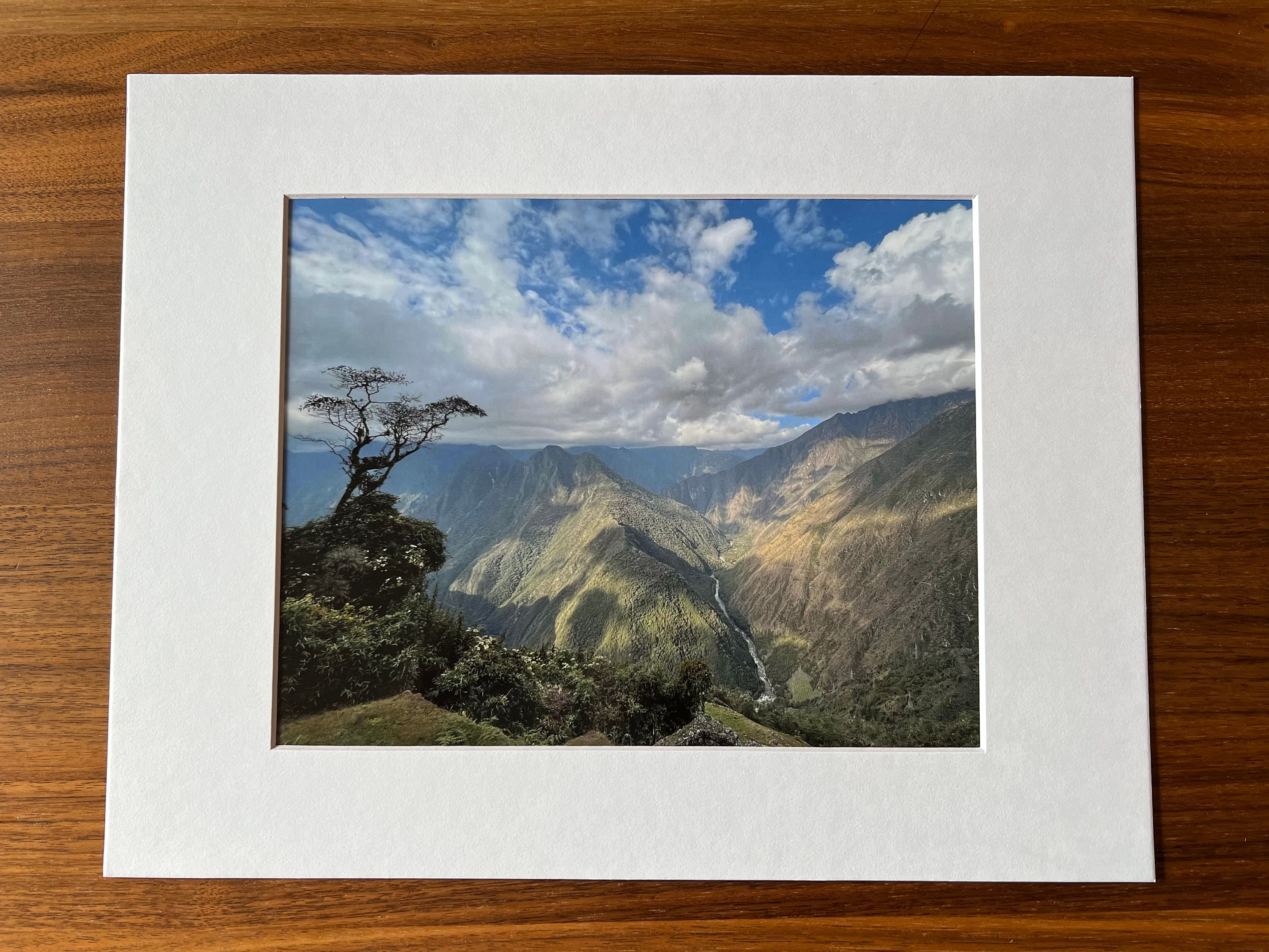 Inca Trail, the Tree of Intipata, 8x10 Matted Print - Etsy
