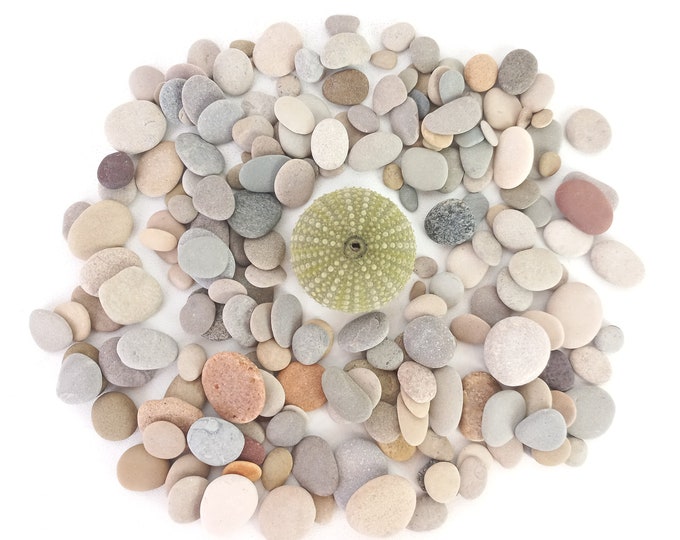 200 Small Tiny Pebbles, Pebble Art Supply 0.2 0.7'' 0.7 2cm Mosaic ...