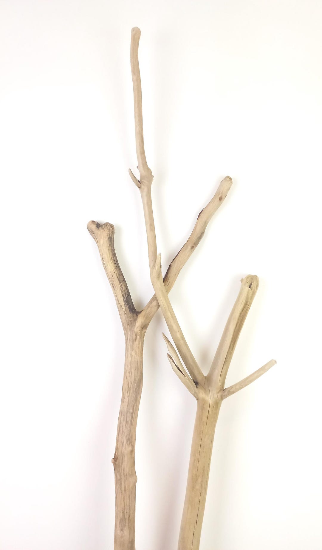 Long Knotty Driftwood Branches: Coastal Vase Fillers, Beach Decor - Etsy