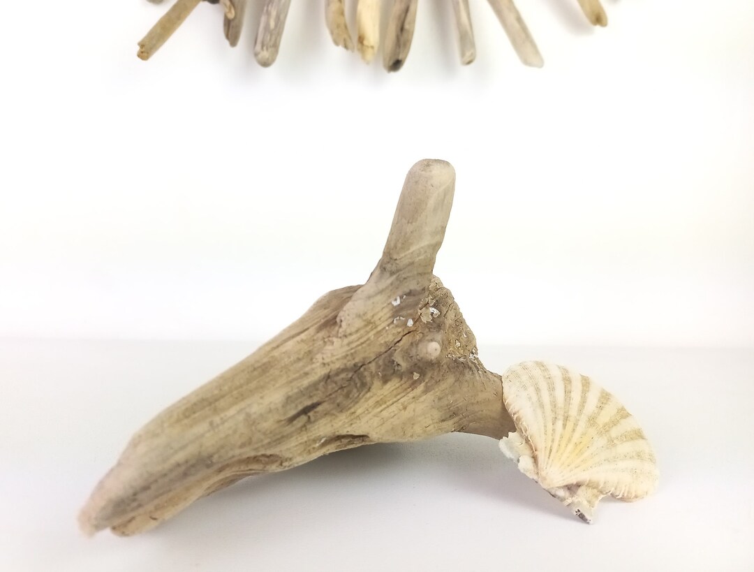 Decorative Driftwood Piece 5.7'' (14.5cm) Rustic Wedding Table Decor ...