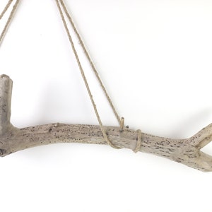 Unique Large Driftwood Branch 2.7 Ft 79cm Knotty Beach Branch Wall ...
