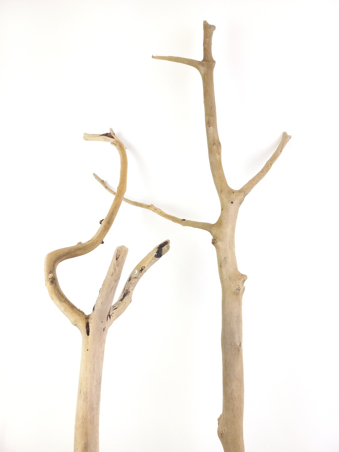 Long Beige Driftwood Branches Set 3.2-3.7'' 98-110cm Knotty Beach Twigs ...