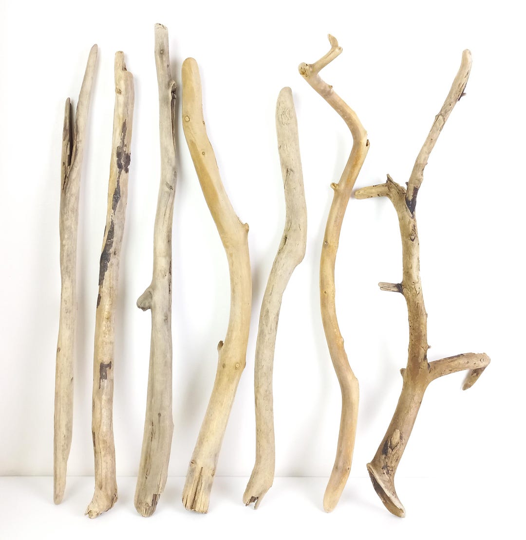 Driftwood Branches, Straight Curvy Beach Twigs Art Supply 21.2 - 23.6 ...