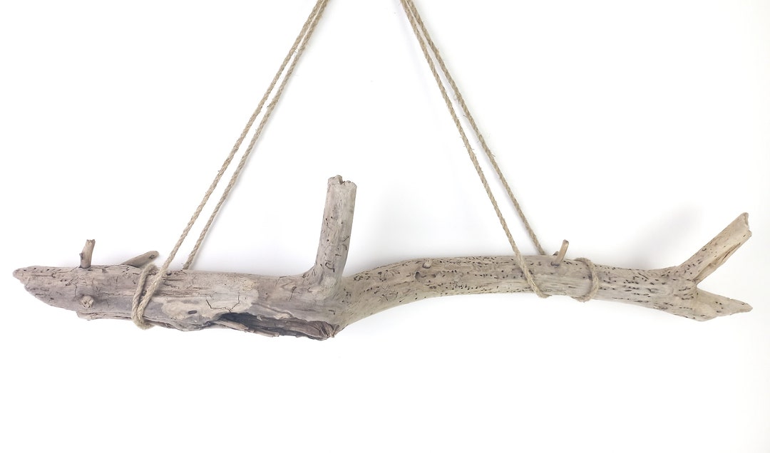 Knotty Driftwood Branch (2.7 Ft): Coastal Wall Hanging, Air Plant ...