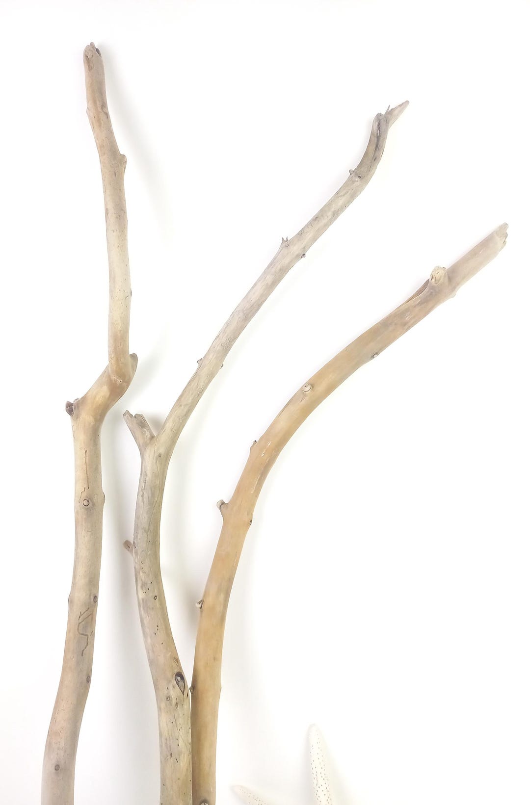 2.7 - 3.1 Ft Long Curvy Driftwood Branches 80-96cm Straight Decorative ...
