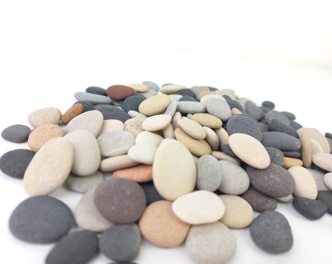 Bulk of 200 Small Tiny Beach Pebbles 0.2-0.9'' 0.7-2.5cm Pebble Art ...