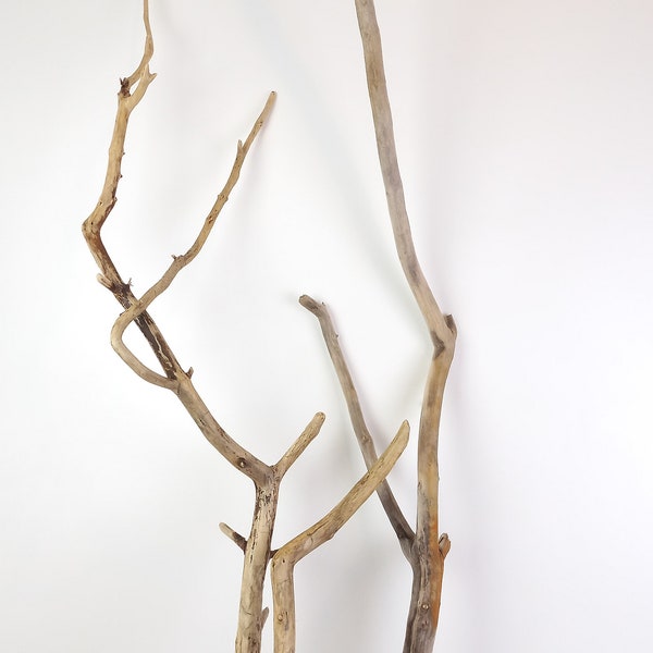 Long Driftwood Branch - Etsy