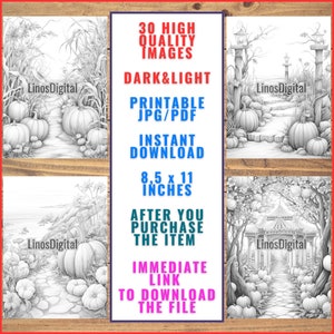 30 Halloween Pumpkin Paths Coloring Book, Adults Coloring Pages With ...