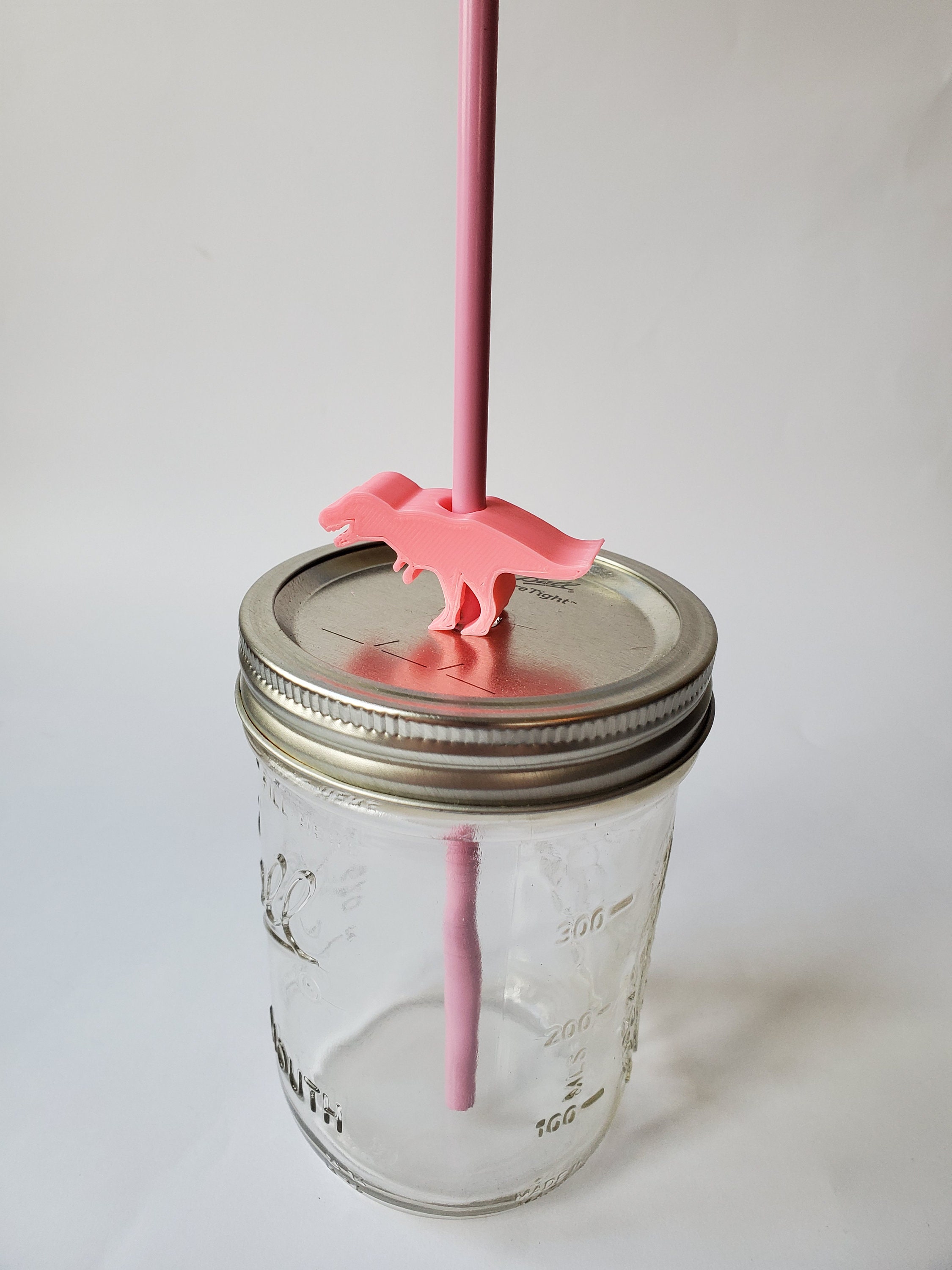 T-Rex Dinosaur Straw Topper Straw Buddy Multiple Colors | Etsy