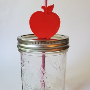 Plain Apple Straw Topper Straw Buddy -- Multiple Colors - Etsy