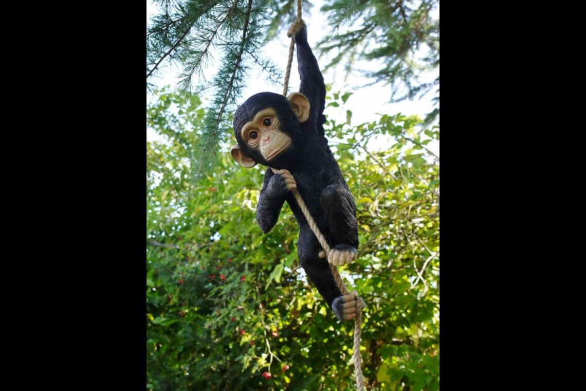 Chimp on a Rope Climbing Monkey Ornament Garden Decoration - Etsy UK